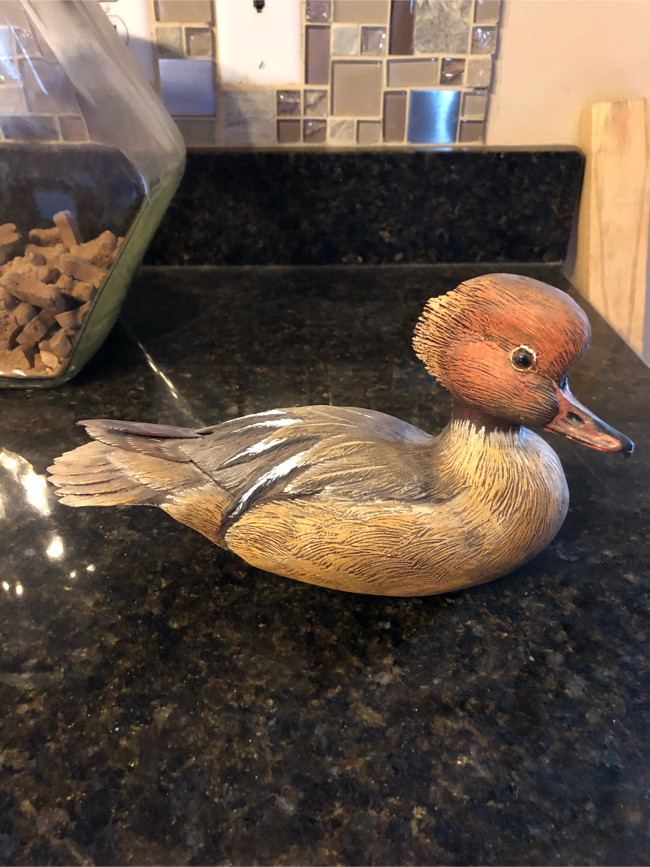 Marsh HEN Boat For Sale - ZeBoats